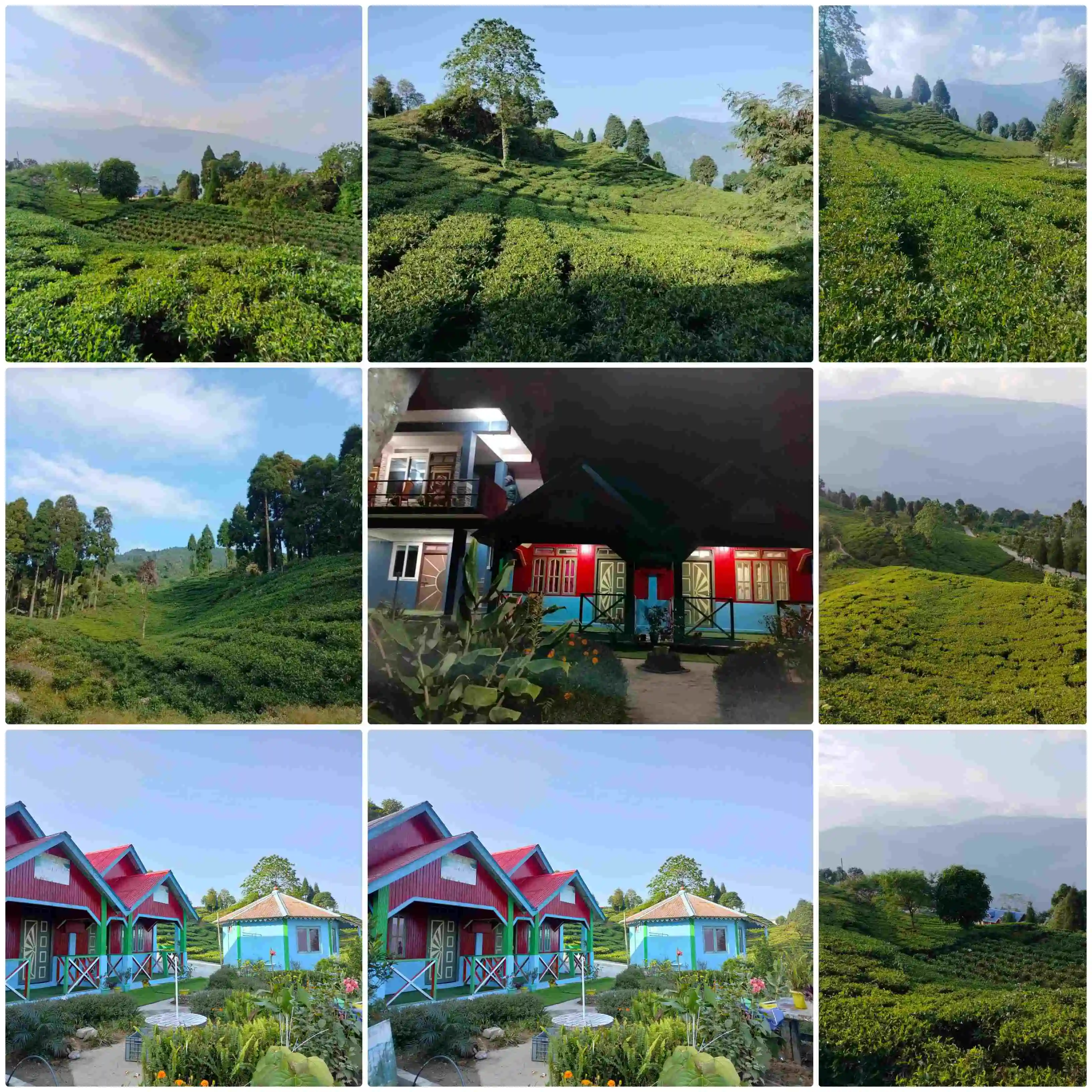 Sittong Meghbitan Homestay - where silence is the hero